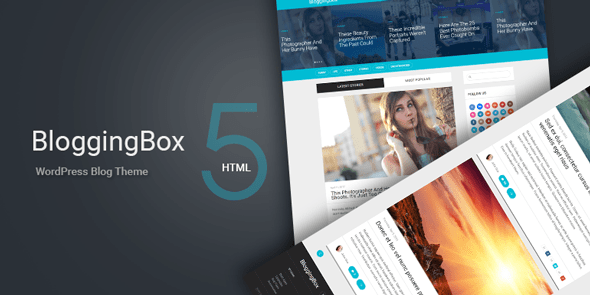 BloggingBox – MultiPurpose WordPress Blogging Theme For Professional Bloggers - Pro Themers
